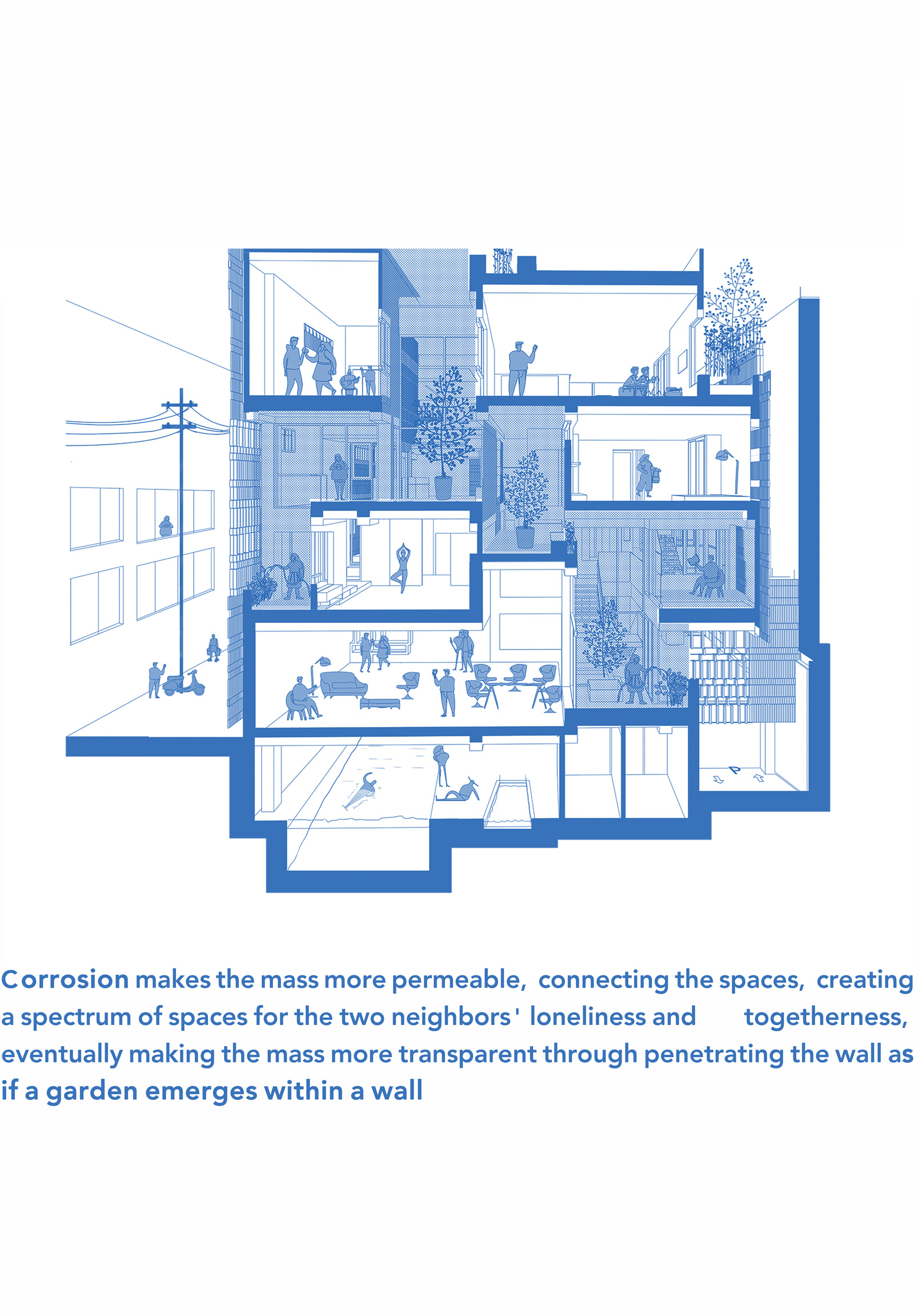 1 House for 2 Brothers